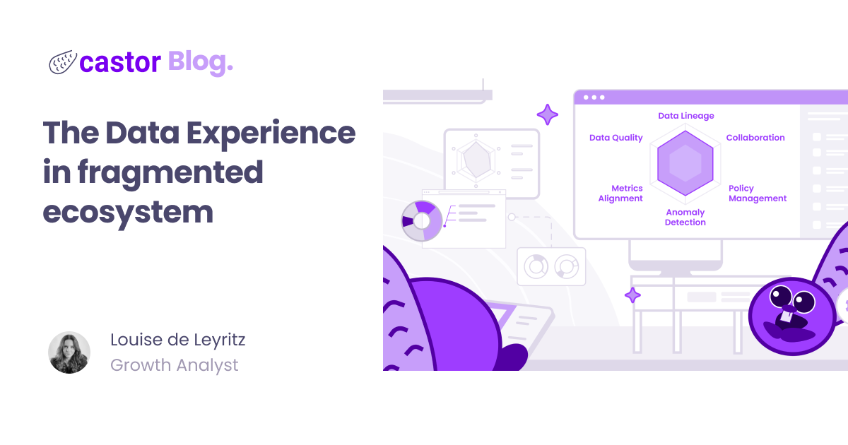 The Data Experience in a fragmented ecosystem - Castor Blog